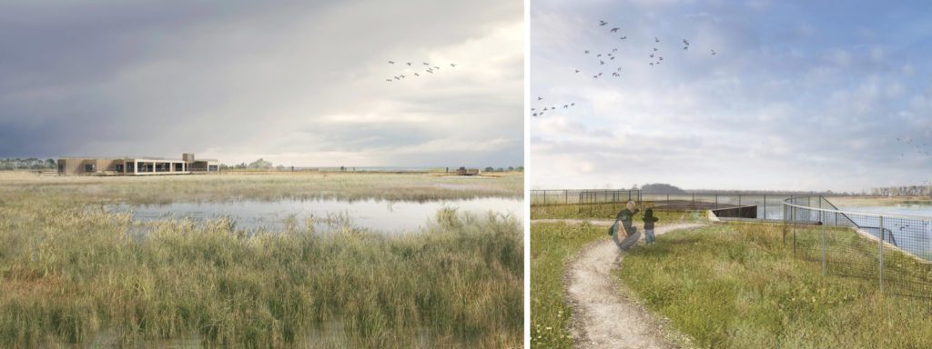 Great Fen Visitor Centre RIBA Competition Architectural Case Study From ...